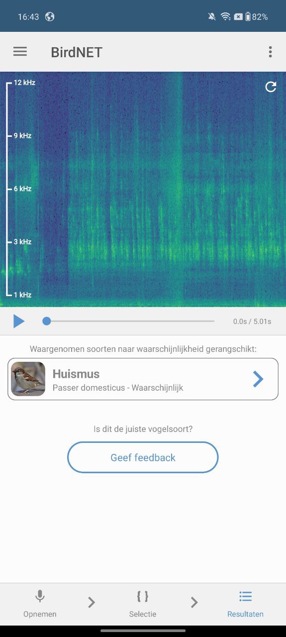 BirdNET app: herken vogels aan hun geluid